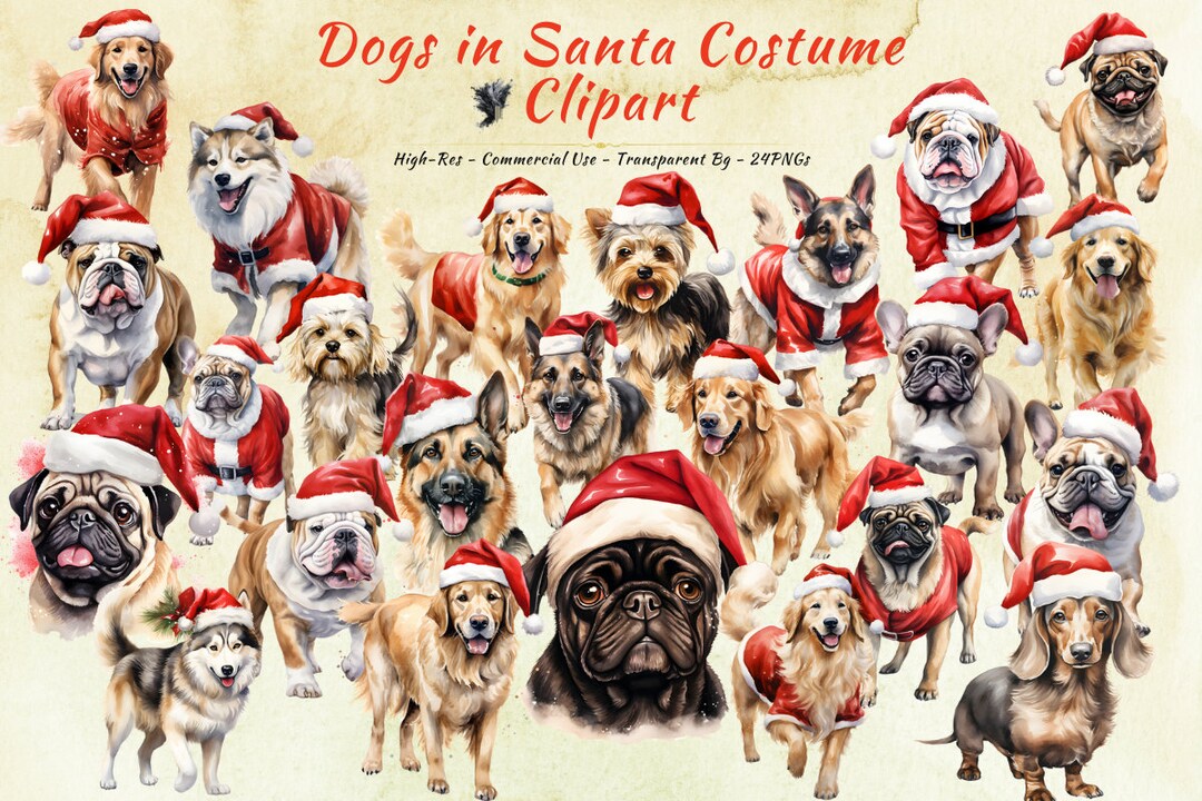 Santa Dogs PNG Clipart Collection Cute Funny Christmas Dogs - Etsy