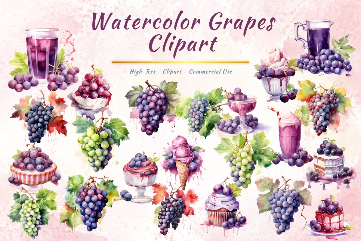 Grape SVG PNG Collection Fruit, Summer, Wine Grapes Clipart Bundle - Etsy