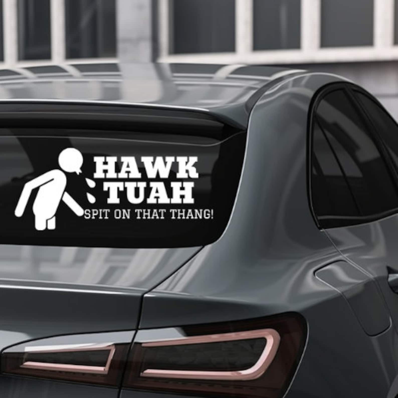 Hawk Tuah SVG Hawk Tuah PNG Popular Tiktok Trend Hawk Tuah Spit on That ...