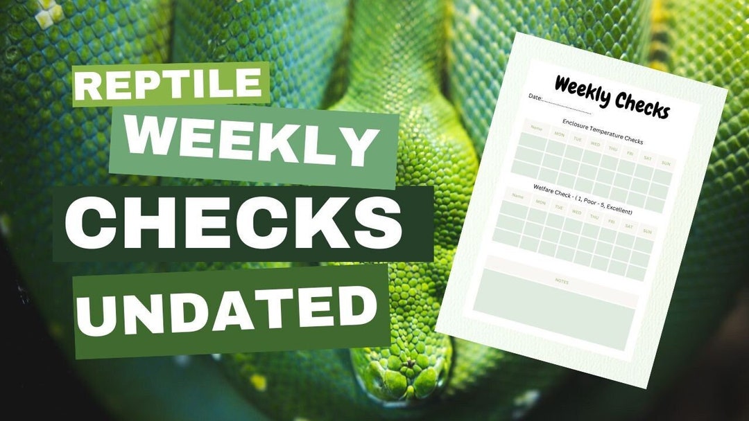 Weekly Reptile Check Sheet. - Etsy