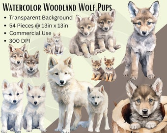 Watercolor Woodland Animals Clipart, Bear Cubs, Baby Animals Clipart ...