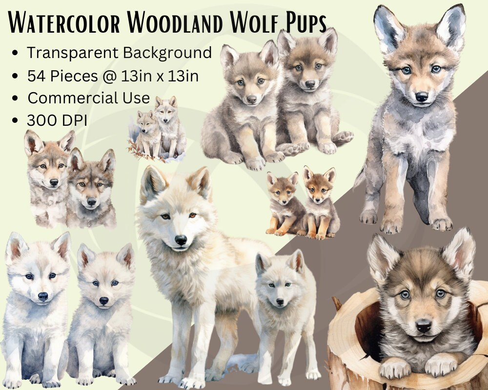 Cute Wolf Pups Drawings