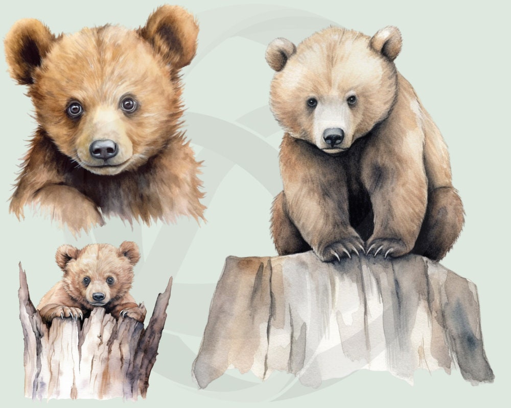 Watercolor Woodland Animals Clipart, Bear Cubs, Baby Animals Clipart ...