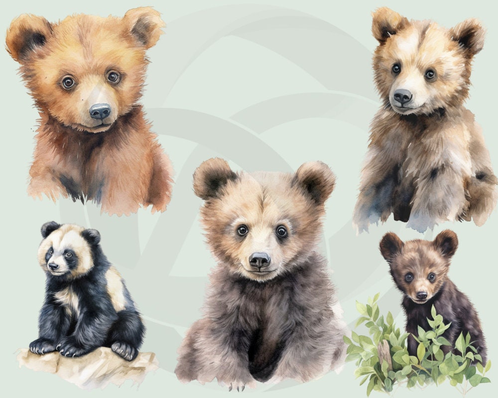 Watercolor Woodland Animals Clipart, Bear Cubs, Baby Animals Clipart ...