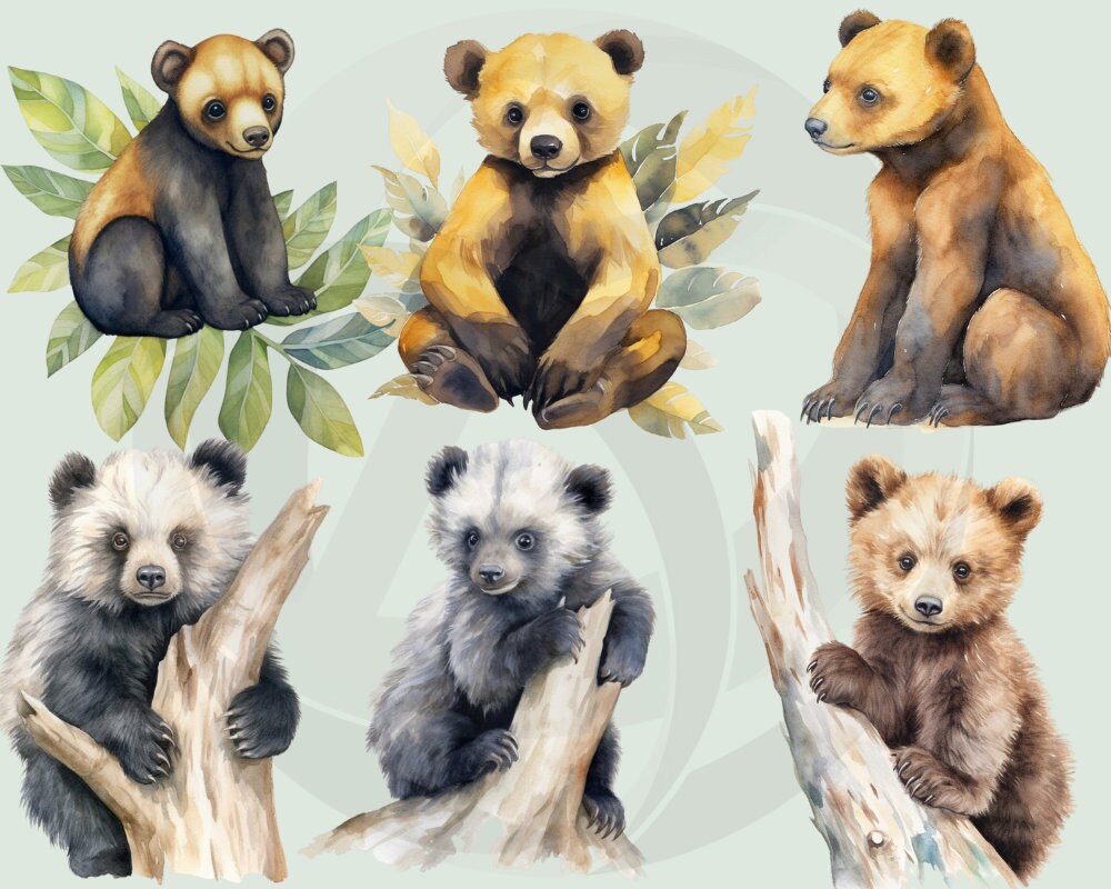 Watercolor Woodland Animals Clipart, Bear Cubs, Baby Animals Clipart ...