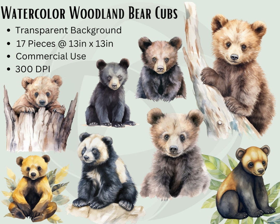 Watercolor Woodland Animals Clipart, Bear Cubs, Baby Animals Clipart ...