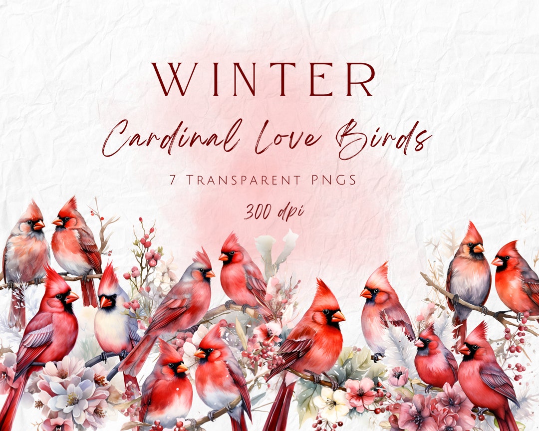 Winter Cardinal Love Birds Clipart Pack Christmas Red Birds - Etsy