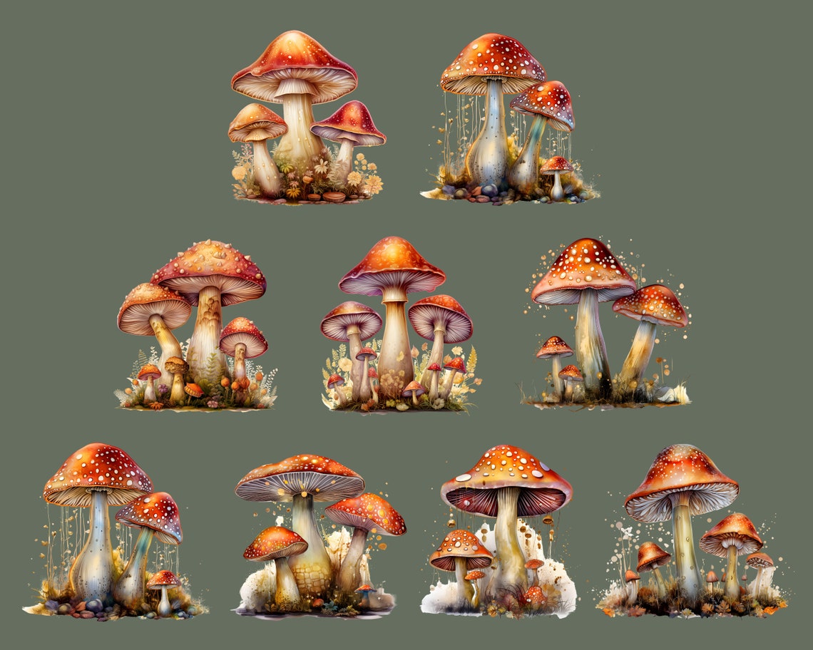 Fairy Mushrooms Clipart Pack, Fantasy Fairyland Toadstools PNG, Magical ...