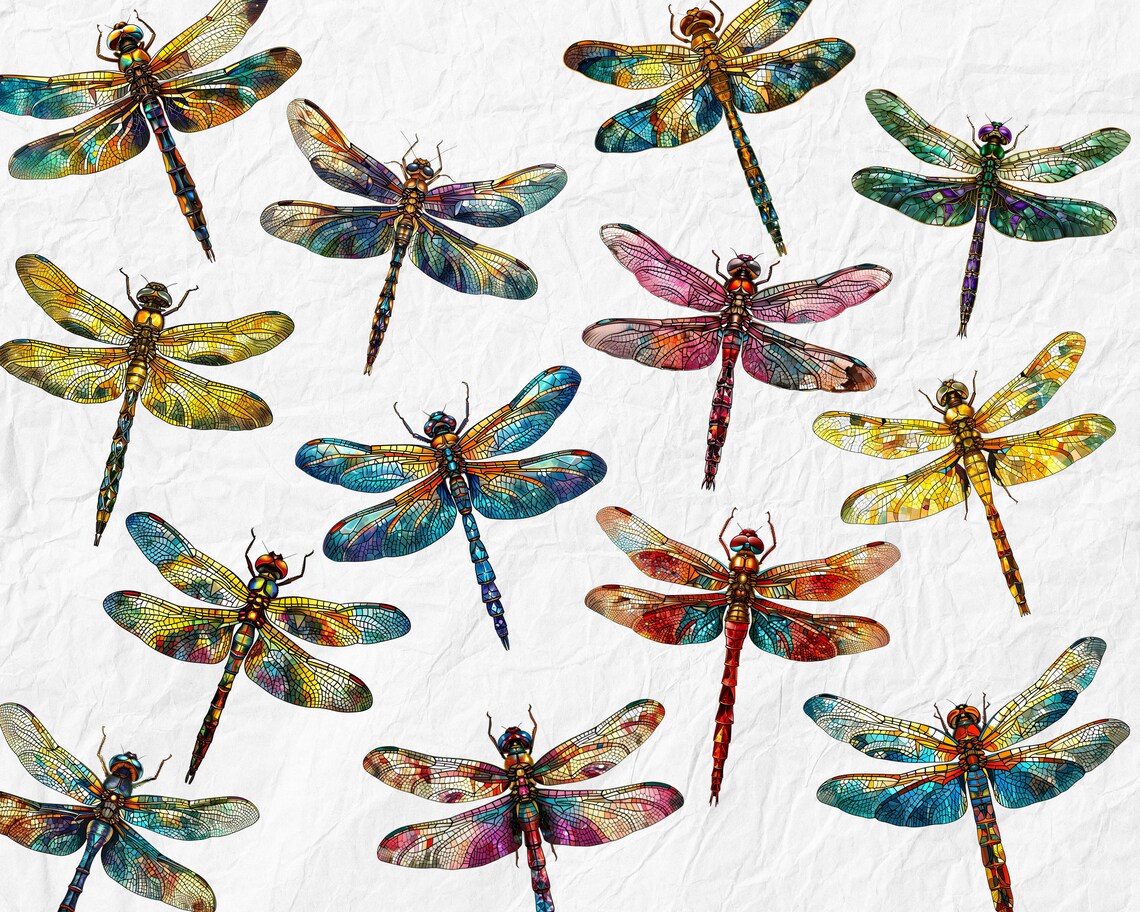 Stained Glass Dragonfly Clipart Pack, Colorful Dragonflies Clipart ...