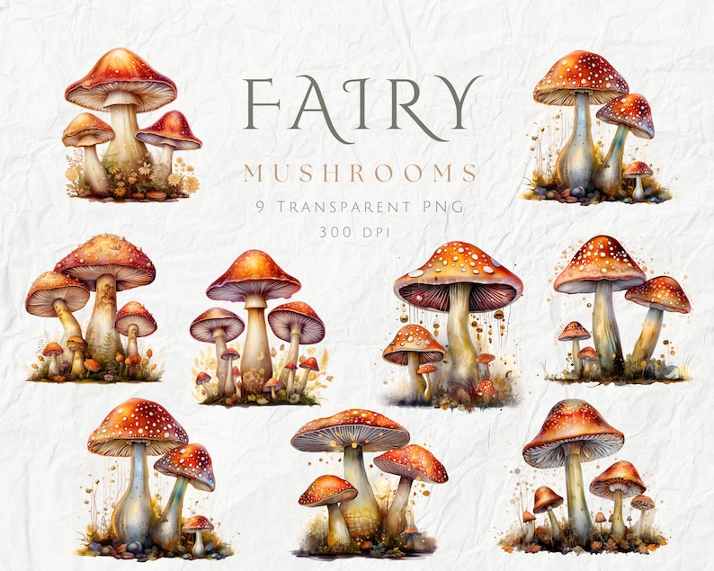 Fairy Mushrooms Clipart Pack, Fantasy Fairyland Toadstools PNG, Magical ...