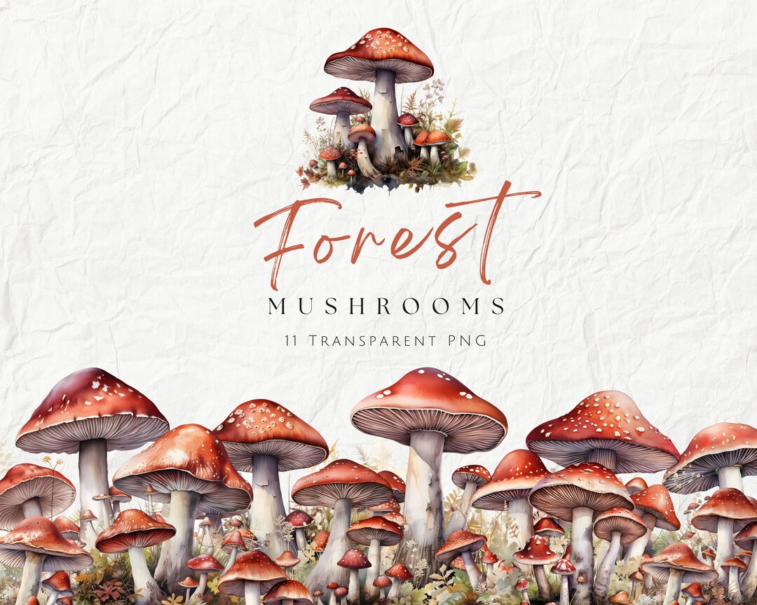 Watercolor Forest Mushrooms Clipart Pack, Fairyland Clipart, Enchanted ...