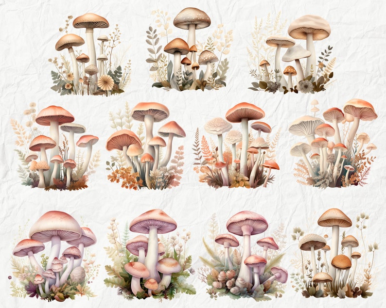 Fairyland Toadstools Clipart Pack, Magical Enchanted Wild Mushrooms ...
