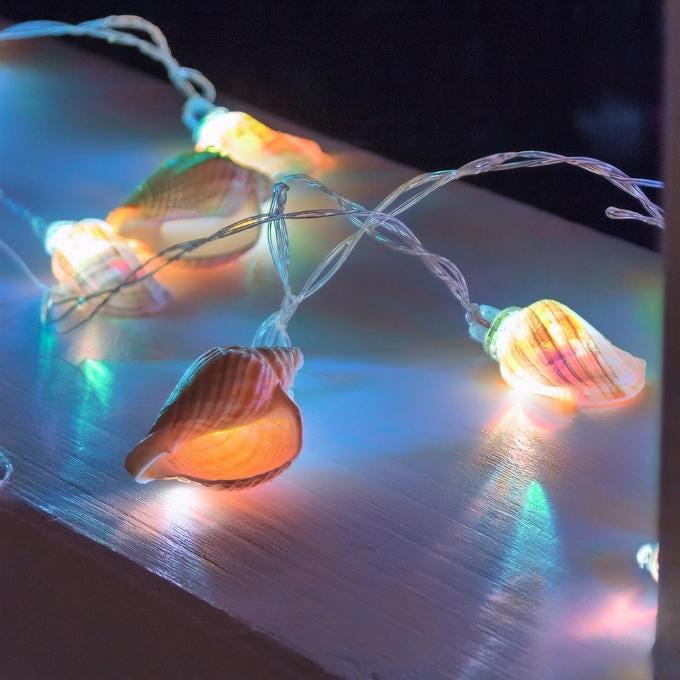 Conch Shell Fairy String Lights Real Sea Shell, Coastal-themed Battery ...