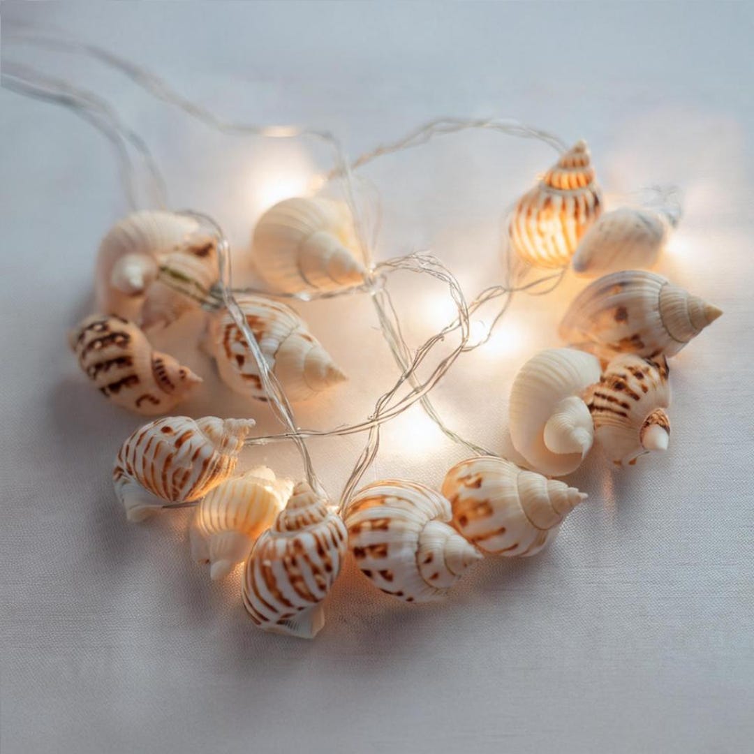Conch Shell Fairy String Lights Real Sea Shell, Coastal-themed Battery ...