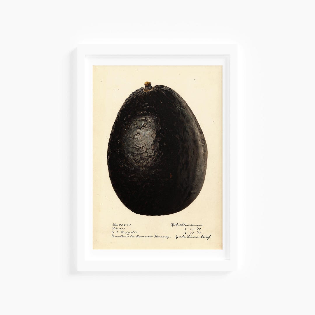 Persea Linda – Royal Charles Steadman – Botanical Poster - Etsy