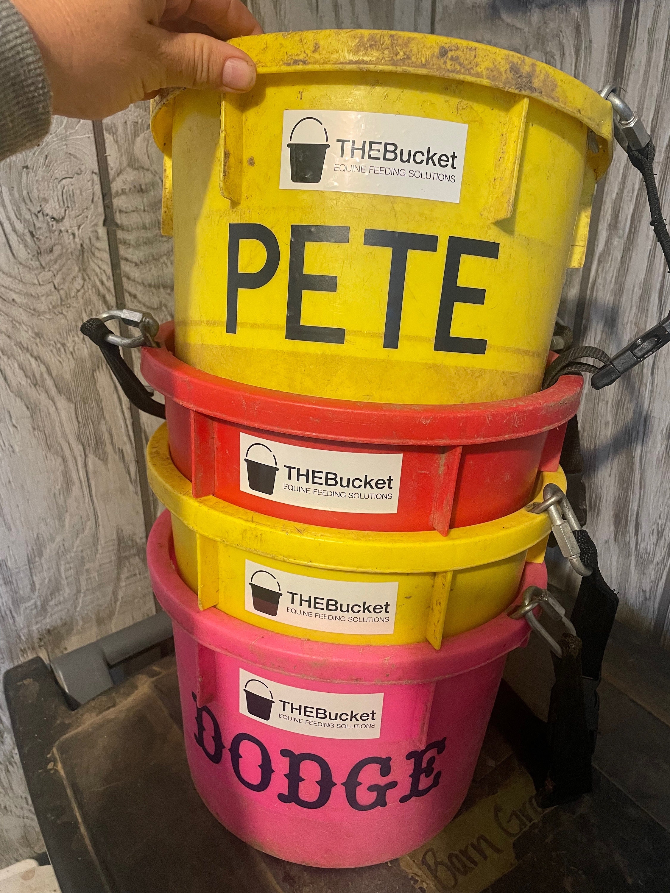 THE Bucket - Horse Feed Bucket: NO Waste, EASY to Use! - Etsy