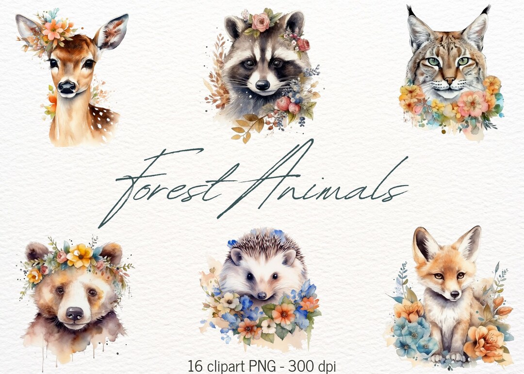Woodland Animal Clipart Bundle, Forest Baby Animals Illustration Bundle ...