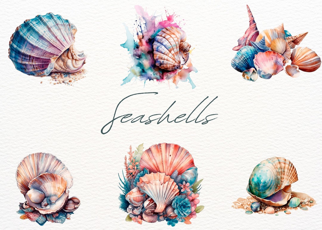 Watercolor Sea Shells Clipart Bundle of 9 Transparent PNG Files Ocean ...