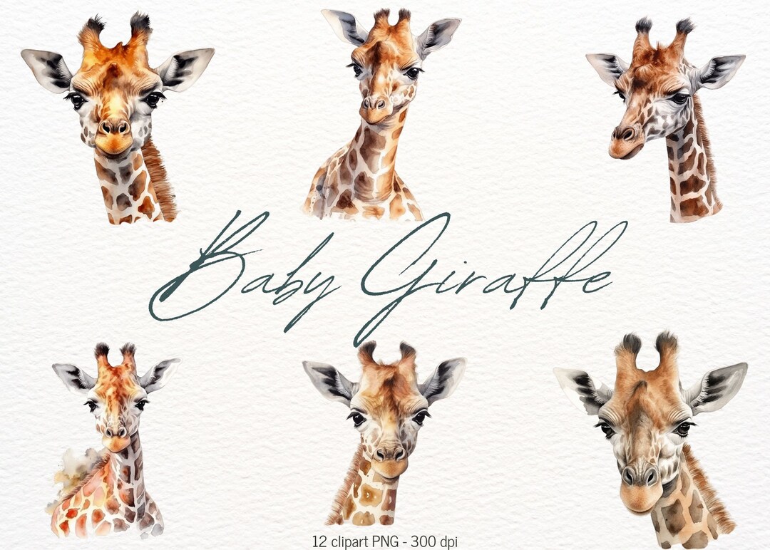 Nursery Clipart Bundle With Cute Giraffe Watercolor Baby Animals ...