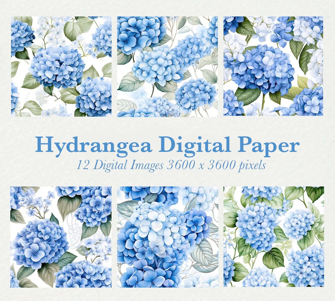 Hydrangea Digital Paper Bundle, Watercolor Blue Flowers Illustrations ...