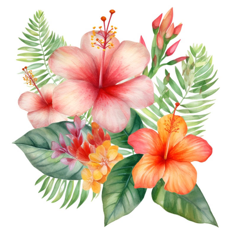 Watercolor Flower Clipart Bundle 16 PNG Files Hibiscus Floral - Etsy