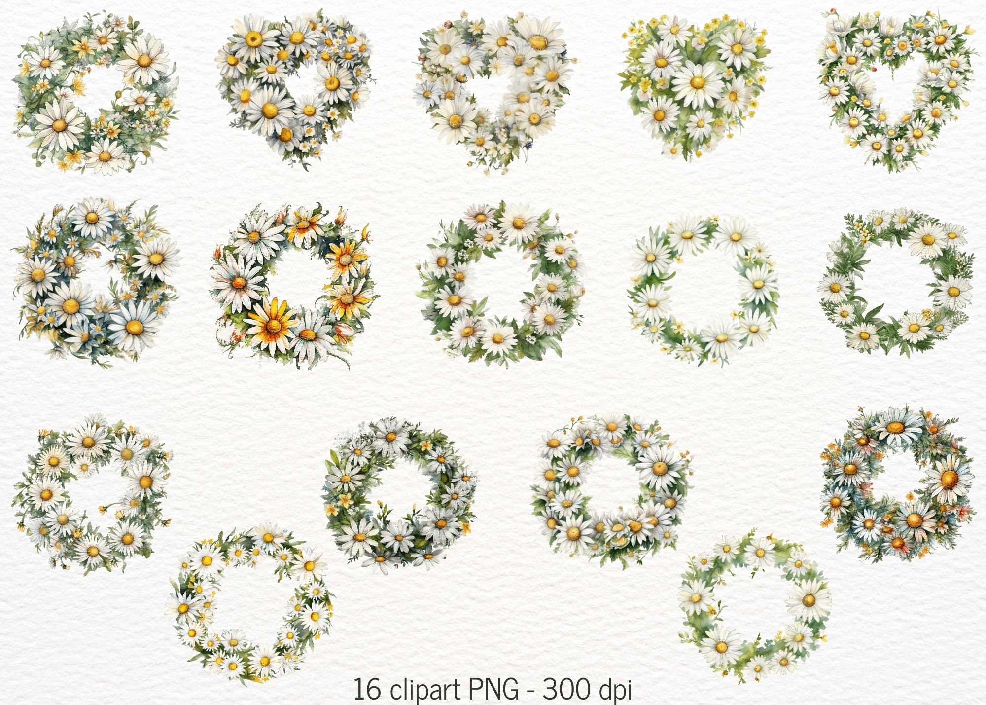 Watercolor Wreath of Daisies Clipart 16 Transparent PNG Floral Wreath ...