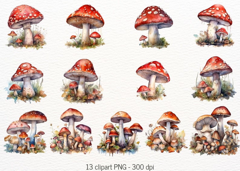 Red Mushrooms Clip Art Bundle of 13 Transparent PNG Files Watercolor ...