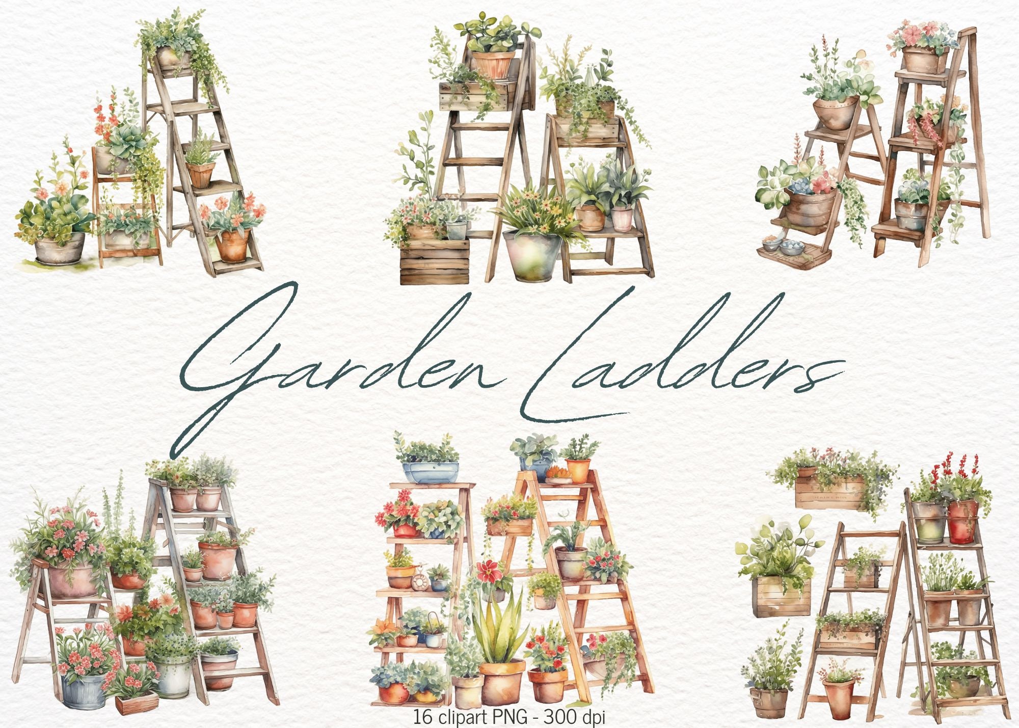 Watercolor Garden Clipart 16 Transparent PNG Floral Ladder Spring ...