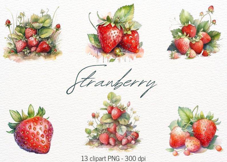 Watercolor Strawberries Clipart Bundle 13 Transparent PNG Summer Berry ...