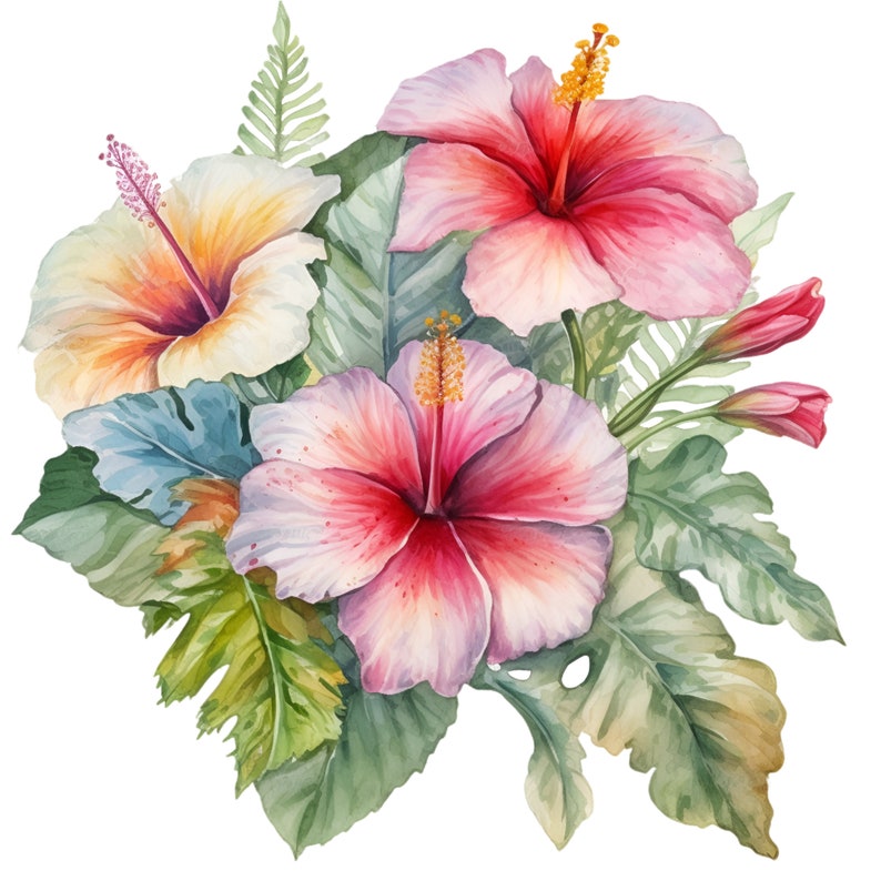 Watercolor Flower Clipart Bundle 16 PNG Files Hibiscus Floral - Etsy