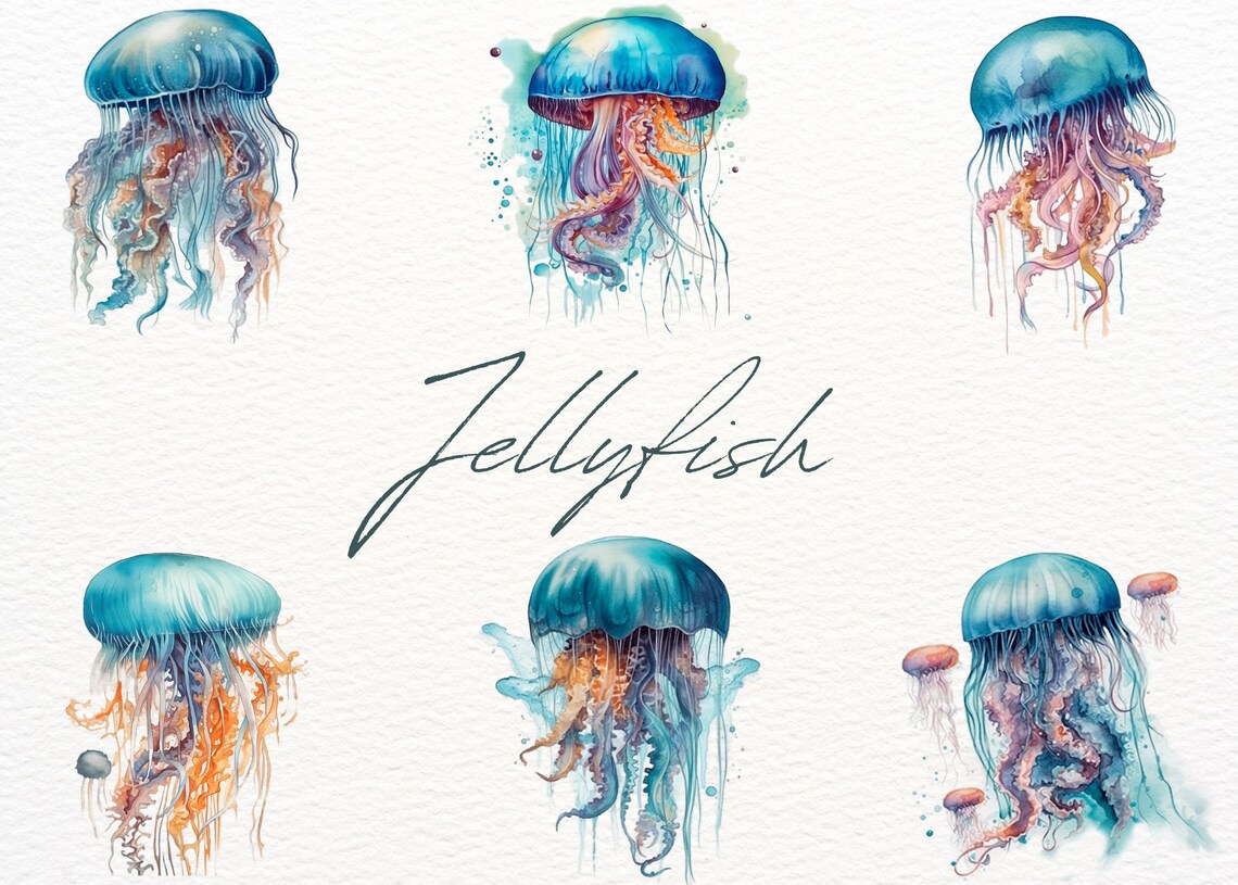 Colorful Jellyfish Clipart Bundle of 11 Transparent PNG Watercolor High ...