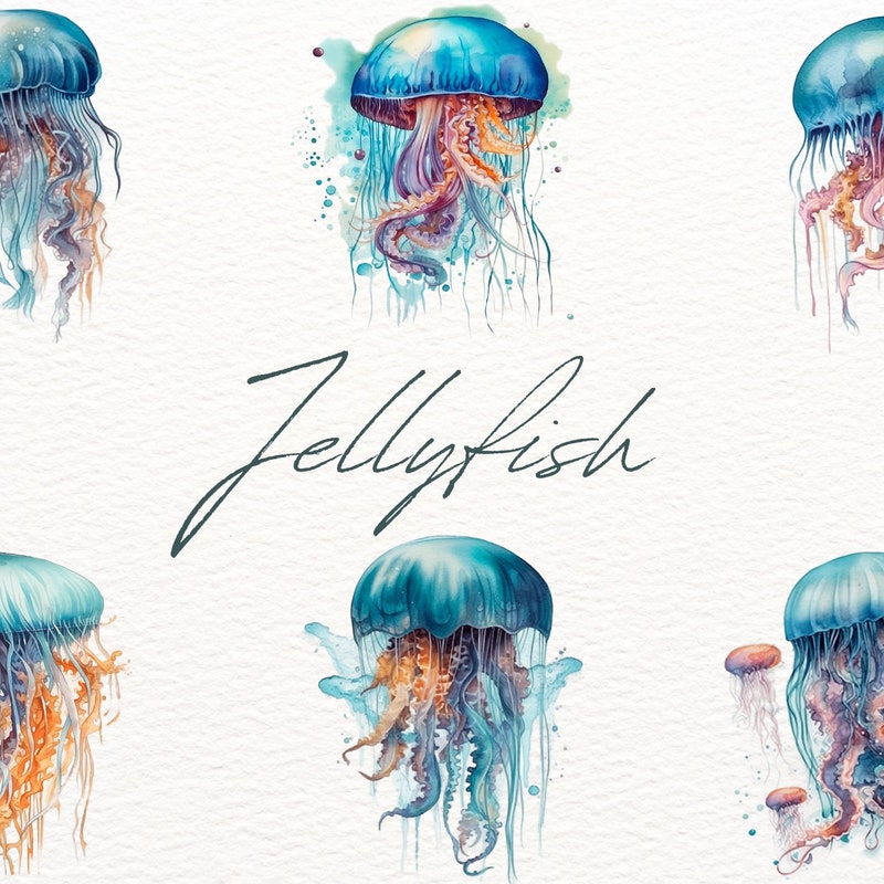 Jellyfish Clipart - Etsy