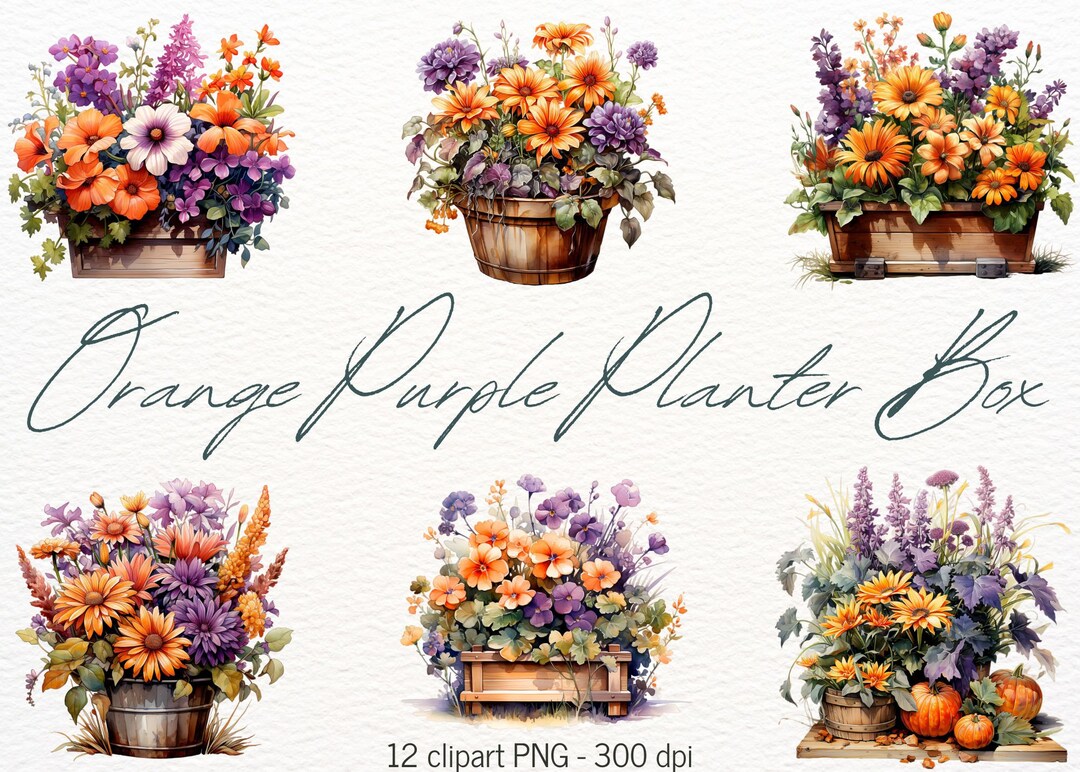 Garden Flower Clipart Bundle Floral Planter Box Clipart Fall Orange ...