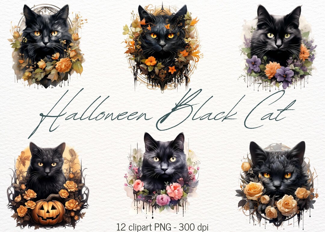 Black Cat Clipart Bundle, Halloween Cat Illustrations, Black Cat ...