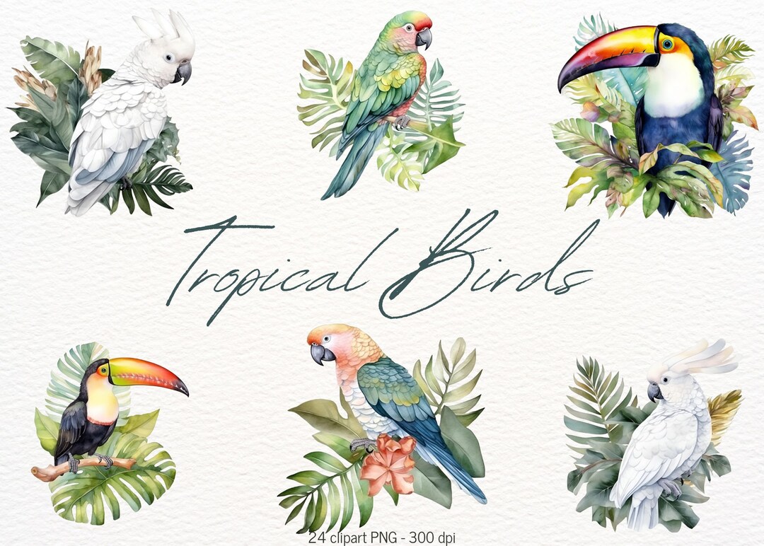 Tropical Birds and Leaves Clipart Bundle Watercolor Jungle Parrot ...