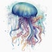 Colorful Jellyfish Clipart Bundle of 11 Transparent PNG Watercolor High ...