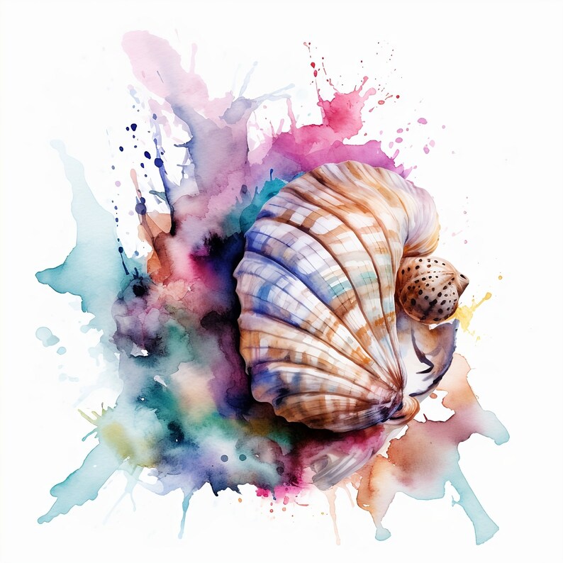 Watercolor Sea Shells Clipart Bundle of 9 Transparent PNG - Etsy