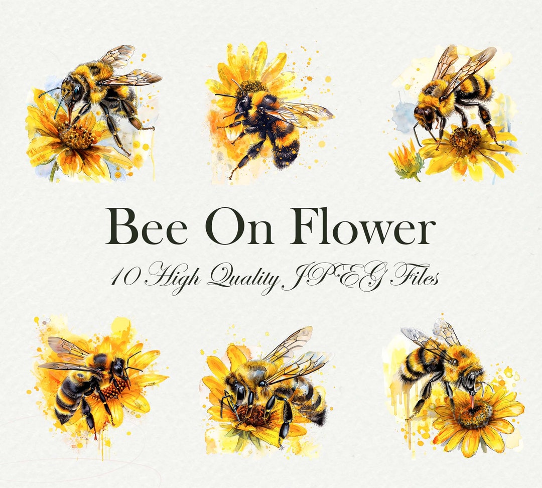 Bee Digital Paper Bundle, Bee on Flower Graphics, Watercolor Yellow ...