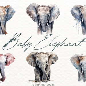 Elephant Clipart Bundle, Watercolor Clipart Bundle, Baby Elephant ...