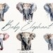 Elephant Clipart Bundle, Watercolor Clipart Bundle, Baby Elephant ...
