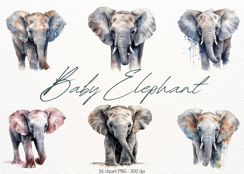 Elephant Clipart Bundle, Watercolor Clipart Bundle, Baby Elephant ...