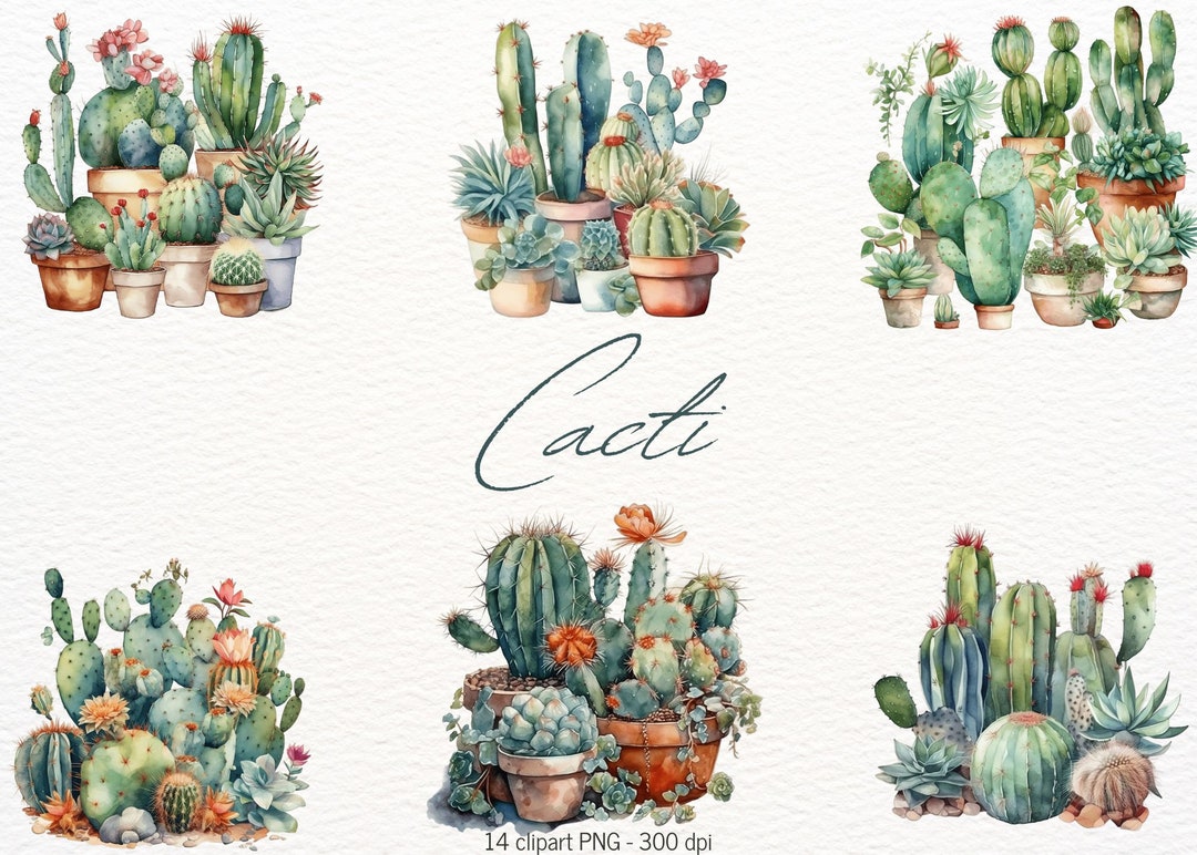 Cactus Clipart Bundle, Desert Cacti Clipart, Watercolor Cactus ...
