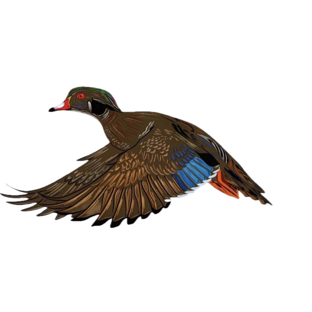 Wood Duck Sticker - Etsy