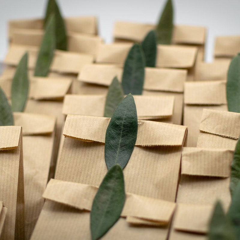 Biodegradable Confetti - Etsy