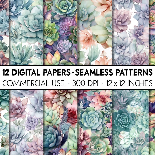 Paper Succulents - Etsy