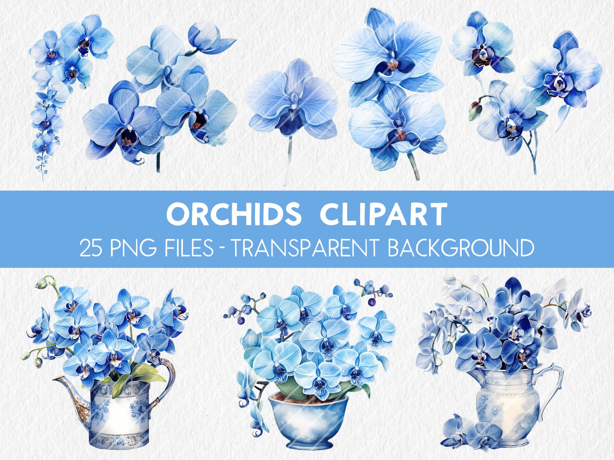 Blue Orchid Clip Art