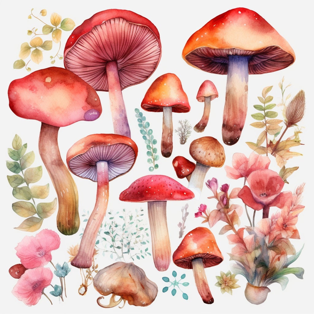 Watercolor Mushrooms Clipart Bundle red, Green, Blue, Yellow Clip Art ...