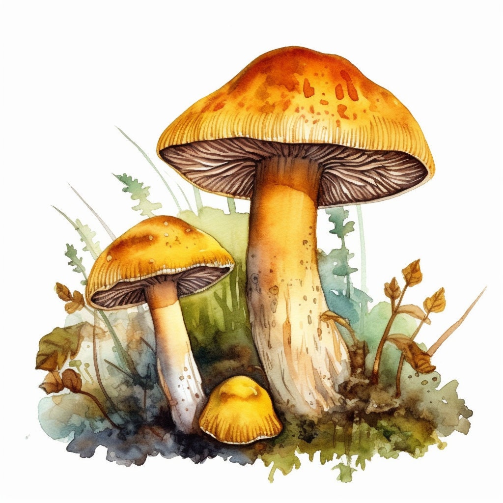 Watercolor Mushrooms Clipart Bundle red, Green, Blue, Yellow Clip Art ...