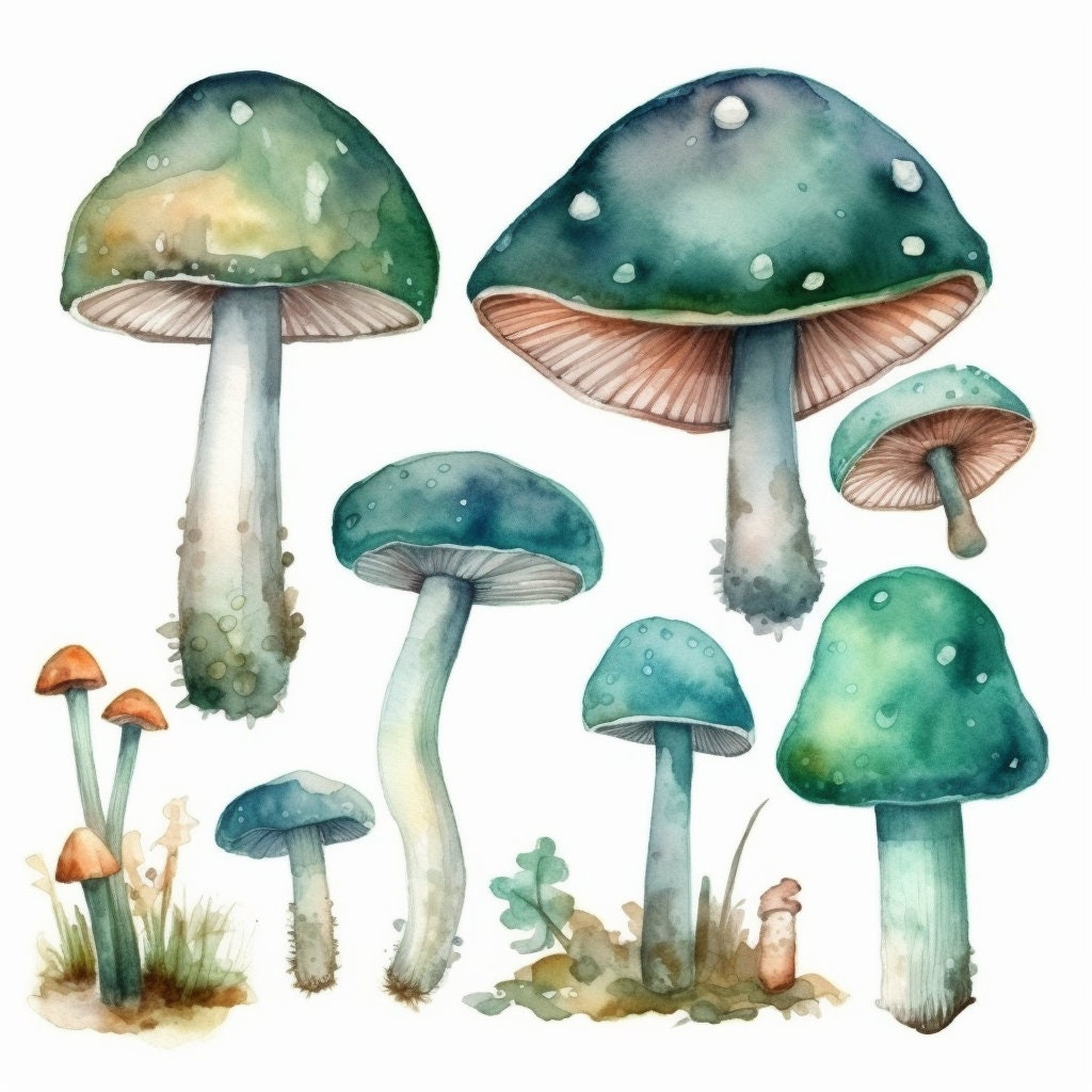 Watercolor Mushrooms Clipart Bundle red, Green, Blue, Yellow Clip Art ...