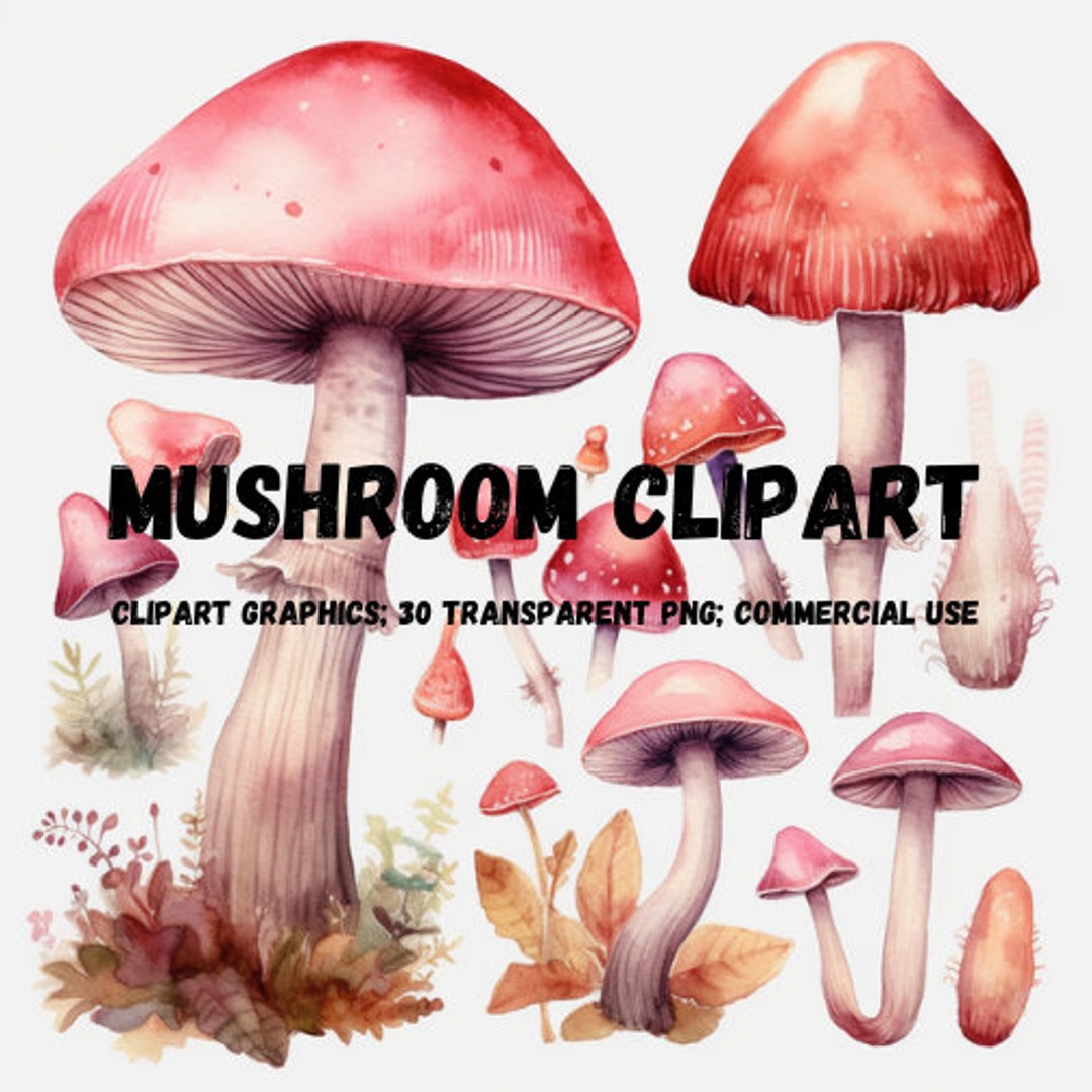 Watercolor Mushrooms Clipart - Clip Art PNG Format; Instant Download ...